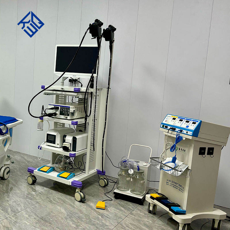 Cv-170/190/290 Gastroscope Colonoscope Systems Flexible Endoscopy ...