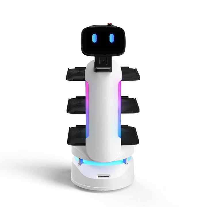 Programmable Wireless Remote Control Talking Smart Electronic Pet Dog ...