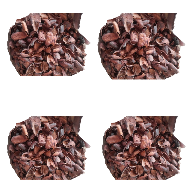 Indonesian Premium Grade Cocoa Shells - Pure & Affordable
