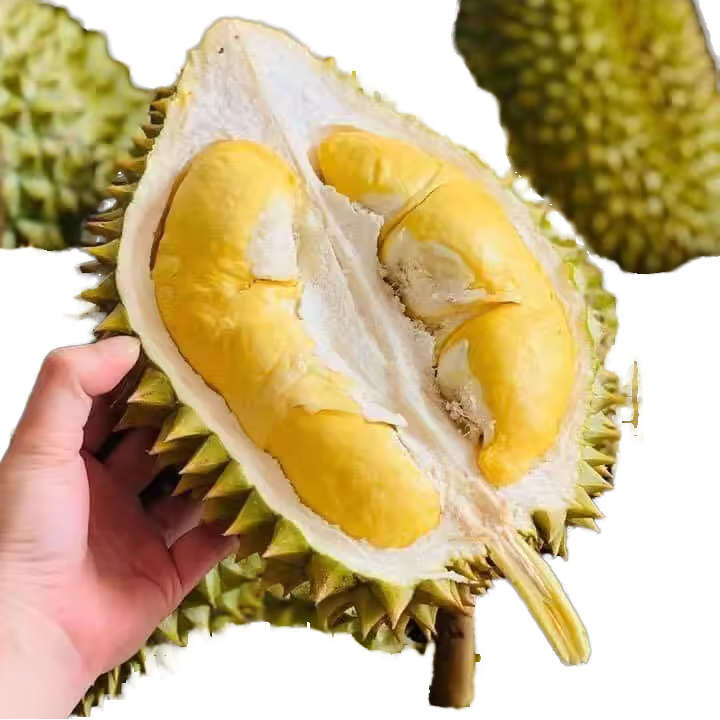 100% Pure Non-Gmo Vietnamese Durian Fruit - Sweet & Cheap