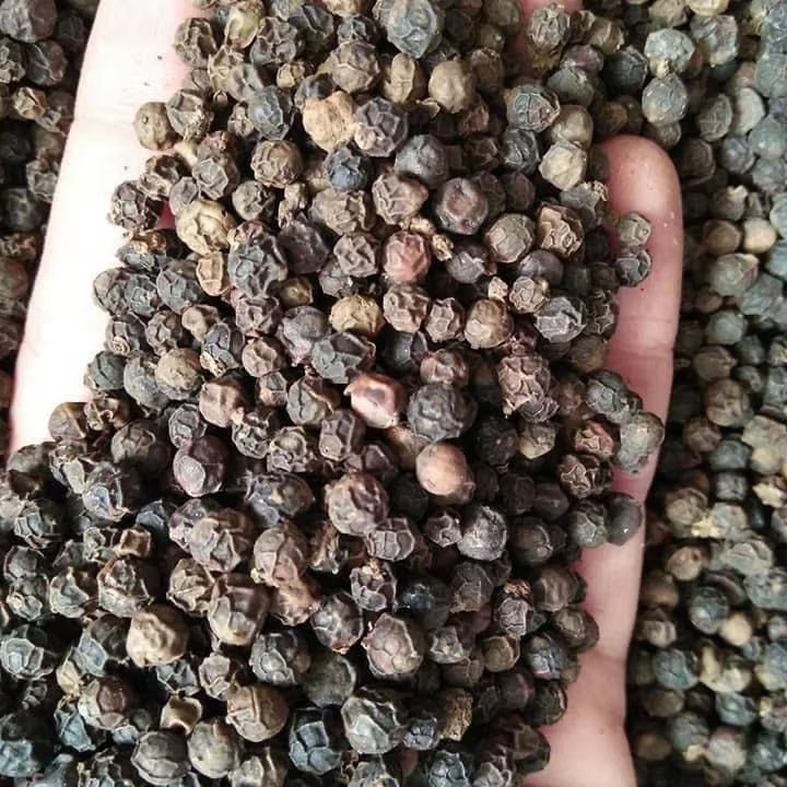 New Harvest 2026 Vietnam Dried Black Pepper 500 G/L 550 G/L 570 G/L ...