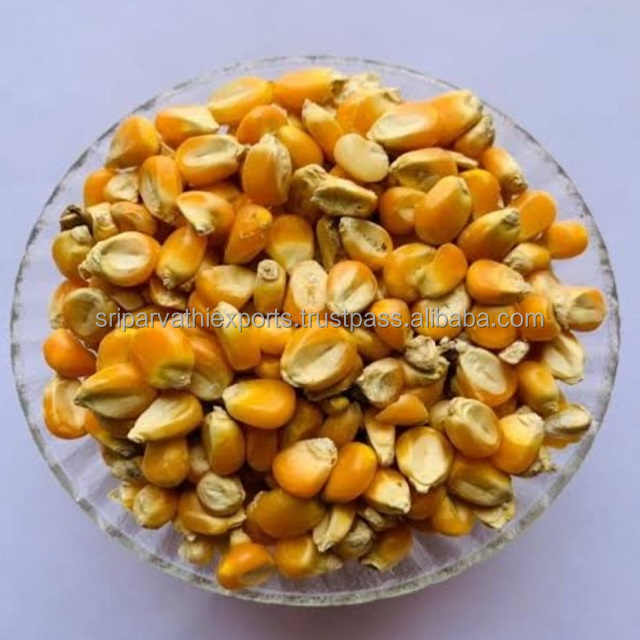 Yellow Corn for Animal Feed for sale| Alibaba.com