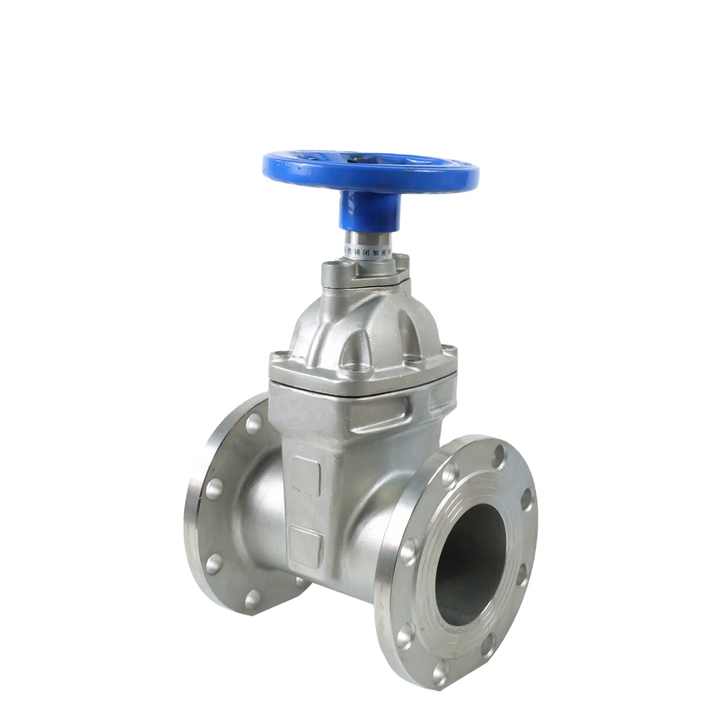 DKV Non-Rising Stem Stainless Steel Gate Valve Flanged ANSI 150