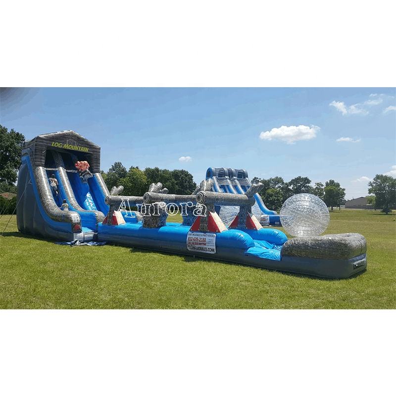 New Design Inflatable Slides China Double Lanes Dry Inflatable Bouncer ...