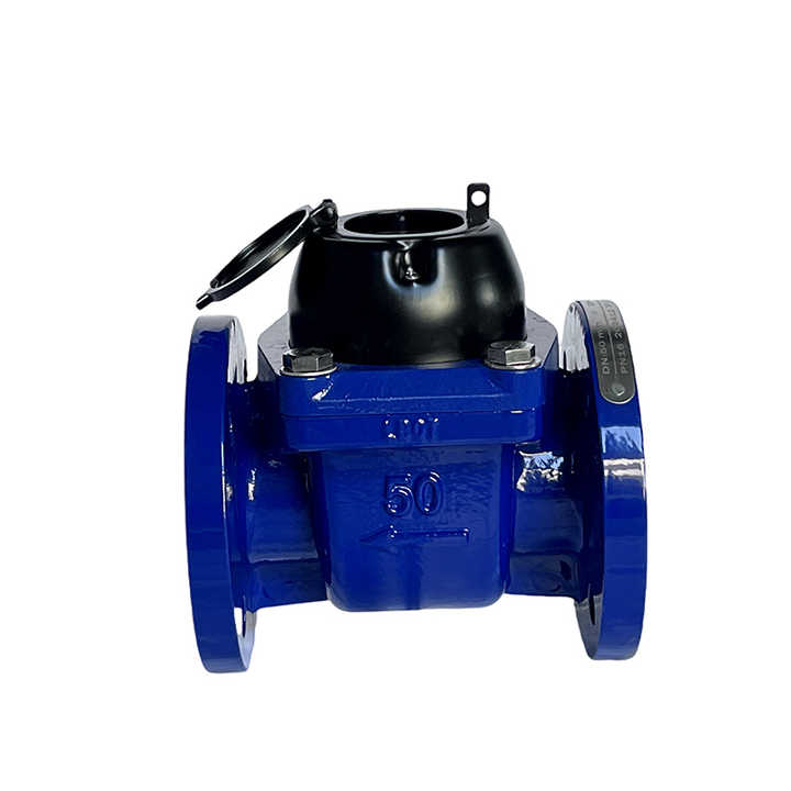 Itron Woltman Type Water Meter Bulk Flange-ended Meter for Oil OEM ...