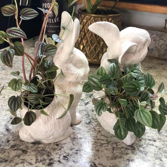 Easter Ceramic Stand Bunny Planter Pot - Minimalist Design