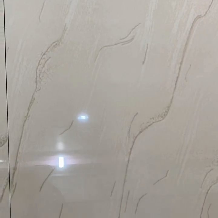 Homogeneous Soluble Salt Floor Tiles 60X60 Porcelain Nano Vitrified in ...