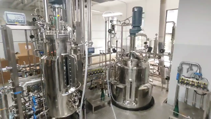 2000L Bioreactor for Yeast Propagation - BLBIO-SJA Technology