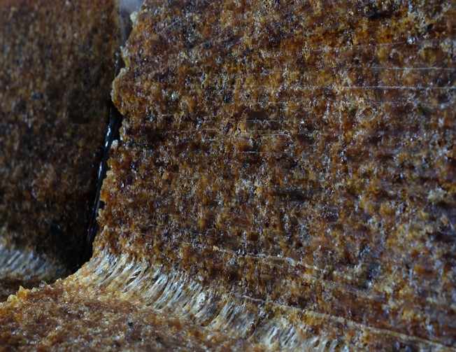 High-Quality Natural Rubber SVR10 & SVR20 Raw Materials for Rubber ...