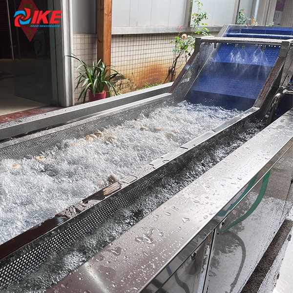 Industrial Fruit and Vegetable Cleaning Machine Raspberry Berry Washing ...