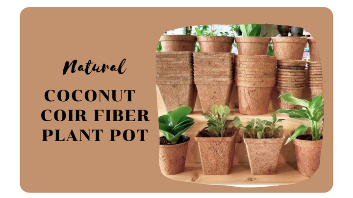 Best Selling Natural Coconut Fiber Coir Planter Flower Pot Custom Shape ...