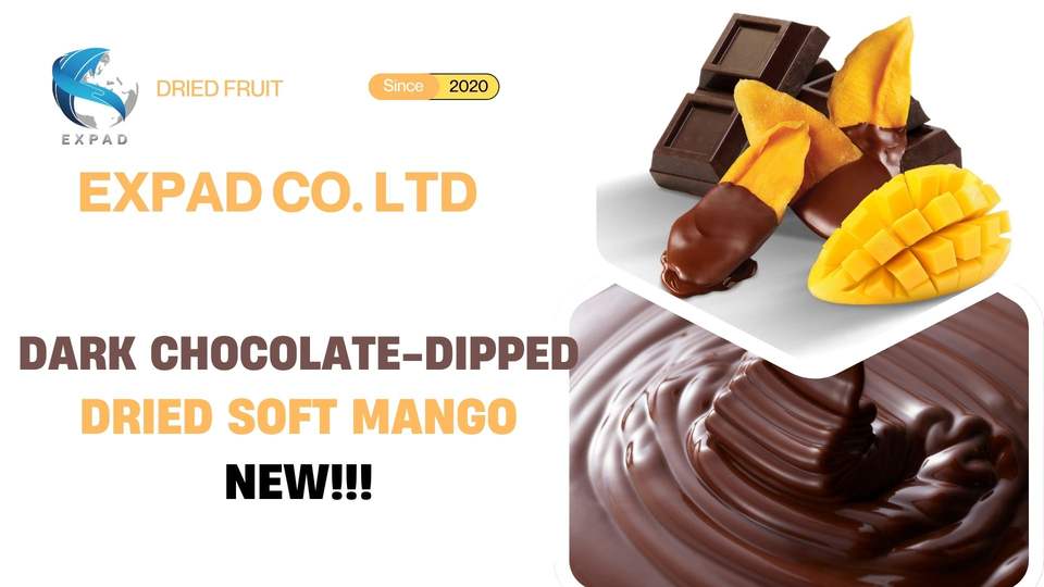 Dark Chocolate Dipped Dried Soft Mango Sliced Sweet Fruit Snack ...