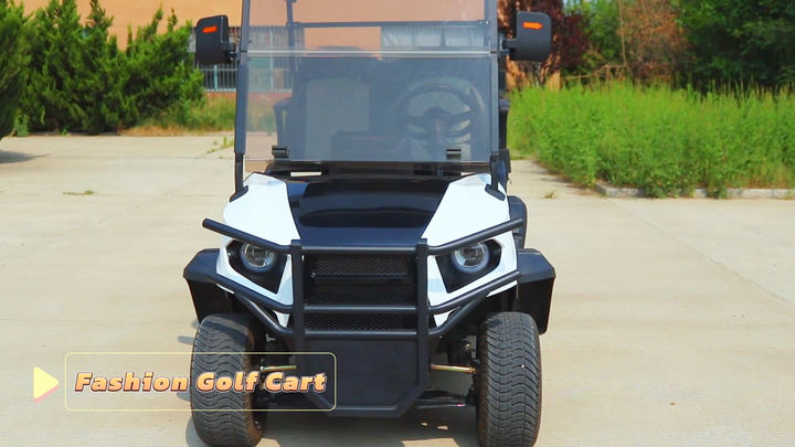 4 Seater Small Club Car Electric Golf Car - Customized Folding
