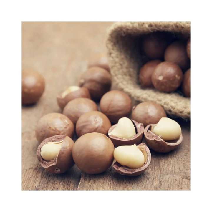 Premium Grade Macadamia Nuts Vietnam Origin, Hygienic Processing, Whole ...