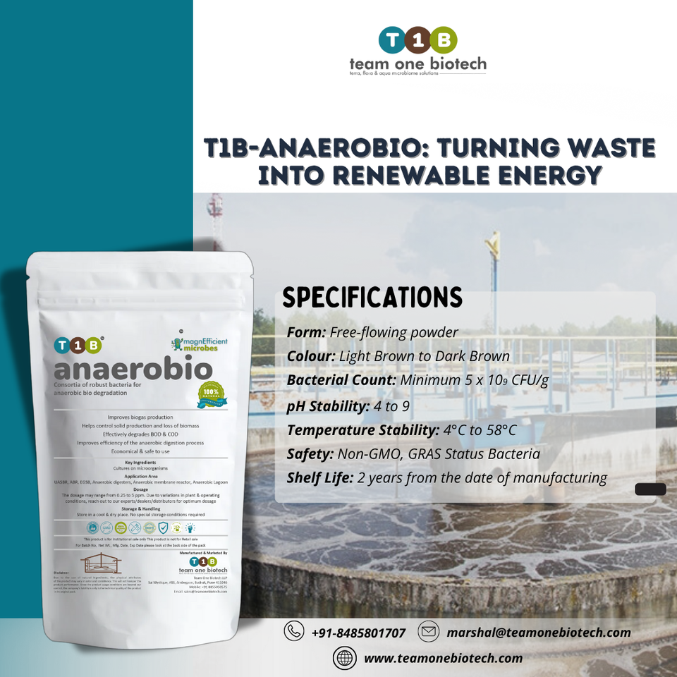 Biogas Anaerobic Effluent Bacteria for Continuous Flow UASB Reactors ...
