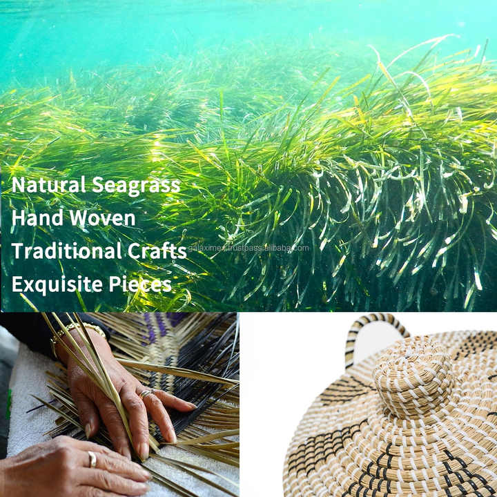 Best Selling High Quality Seagrass Storage Baskets Handcrafted Woven ...