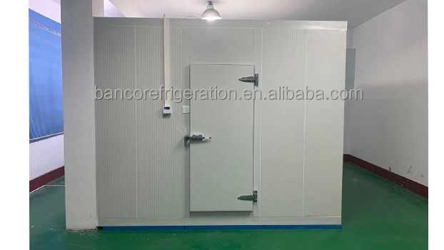 Walk in Fridge Freezer With Diamond Plate, 4 Inch Camlock Pu Panels ...