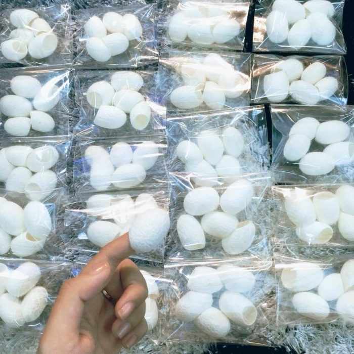 Fresh Natural Silkworm Cocoon for Silk Fiber - Mulberry Silk Cocoon ...