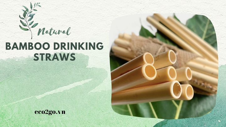 Wholesale Natural Bamboo Straws Bamboo Fiber Straws Drinking Glass with ...