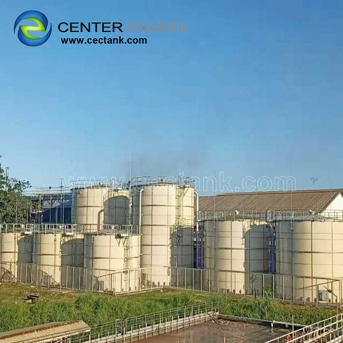 Phytoremediation: Using Plants for Wastewater Treatment