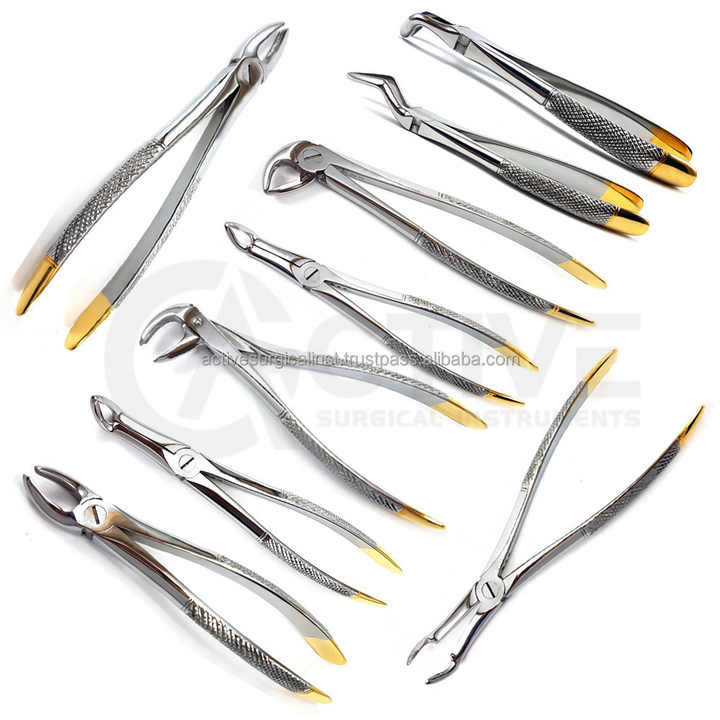 Stainless Steel Dental Extraction Forceps - ACTIVE SURGICAL INSTRUMENTS