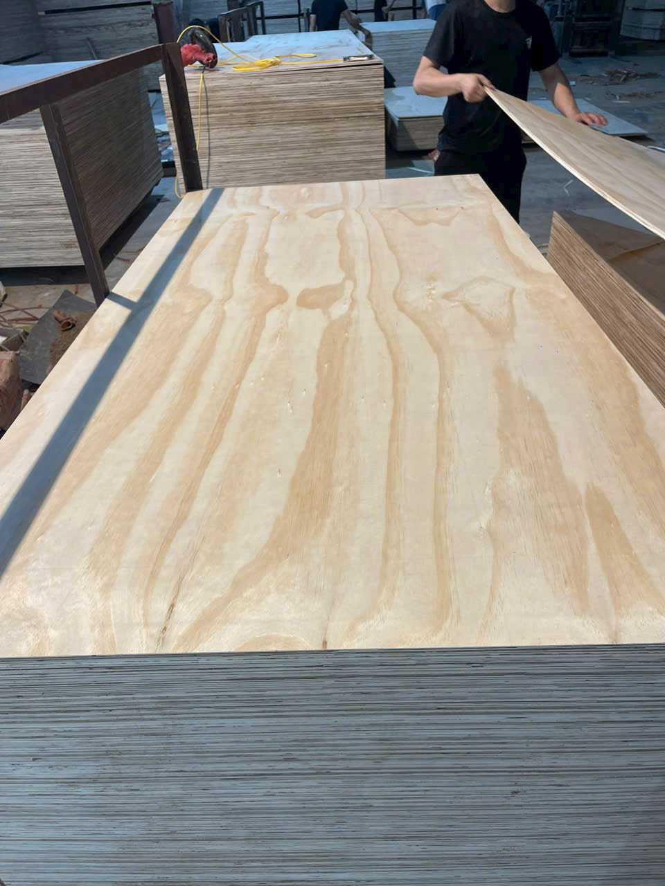 Quality pine veneer plywood factory Solutions for Business Buyers and ...