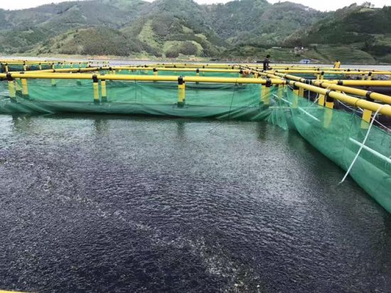 HDPE Stainless Steel Blue Resistant Floating Nets for Aquaculture