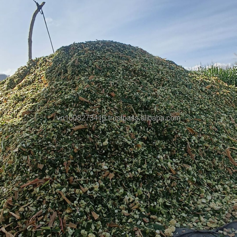 Premium Corn Silage for Cattle Feed – High Quality Fermented Forage ...