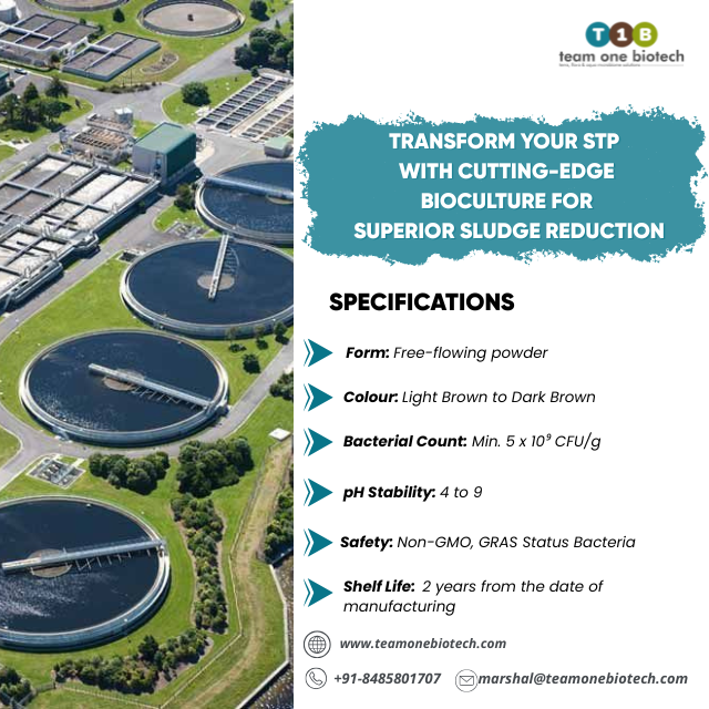 USA Probiotics Bioculture for Wastewater Treatment Process Stability ...