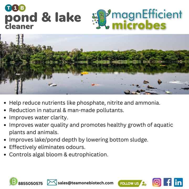 Best Sludge Remover for Ponds and Lakes with Natural Bioremediation ...