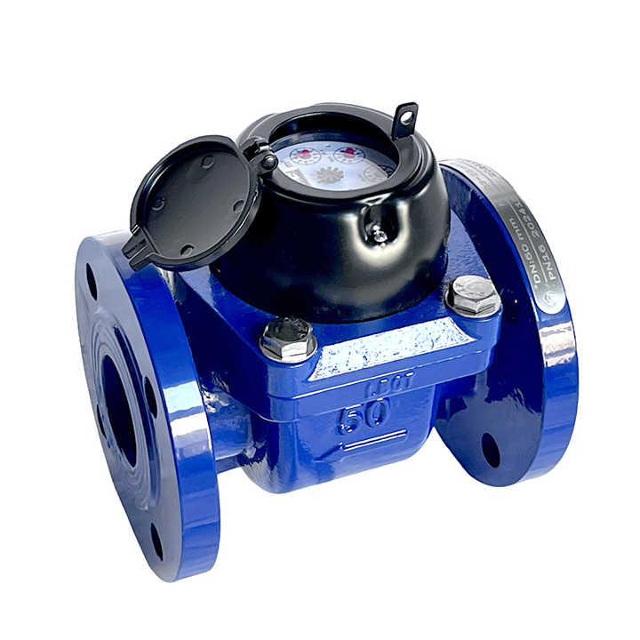 Itron Woltman Type Water Meter DN50-DN300 Bulk Flange-ended Meter for ...