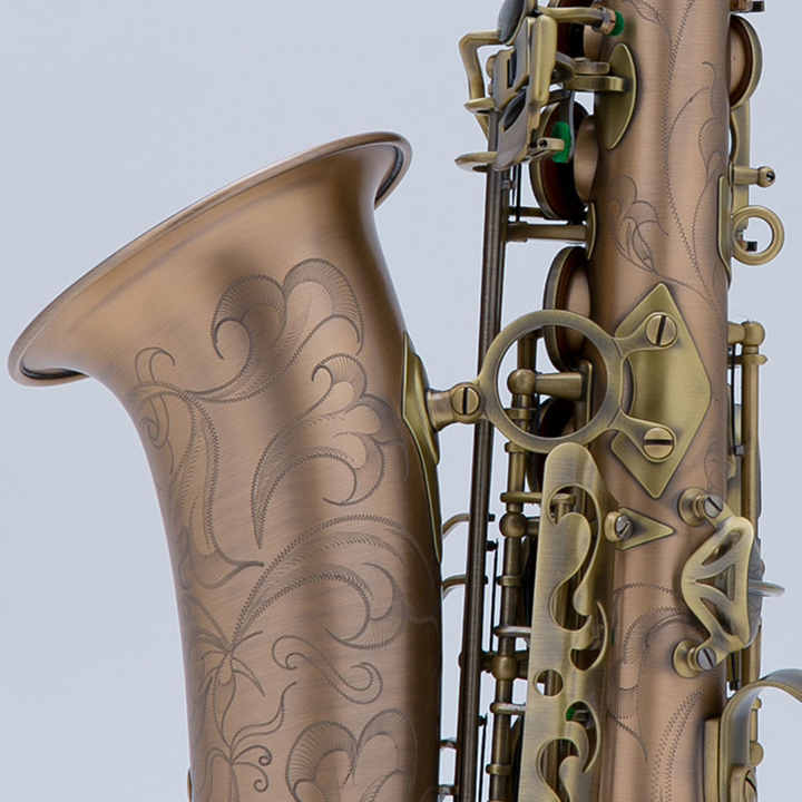 Chateau CAS-90M Professional Alto Saxophone - Full Body Engraved