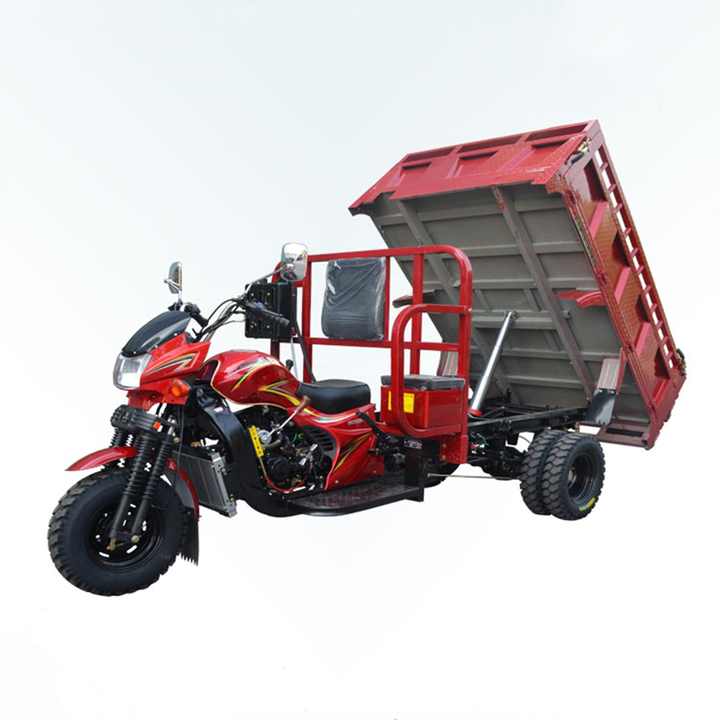 Motorized Gas Powered Cargo Tricycle - Efficient Transport