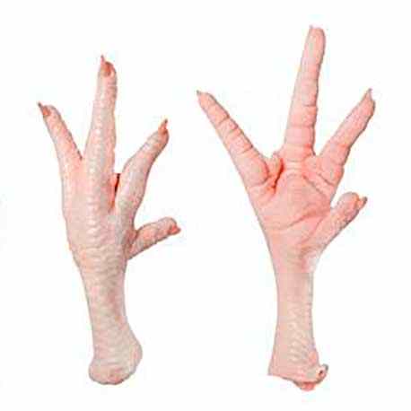 Halal Frozen Chicken Meat /Frozen / Processed Chicken Feet / Paws ...