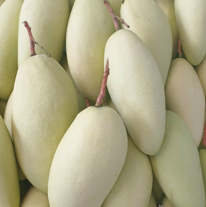 Fresh Mango Fruit Kaew - High Quality & Delicious Taste