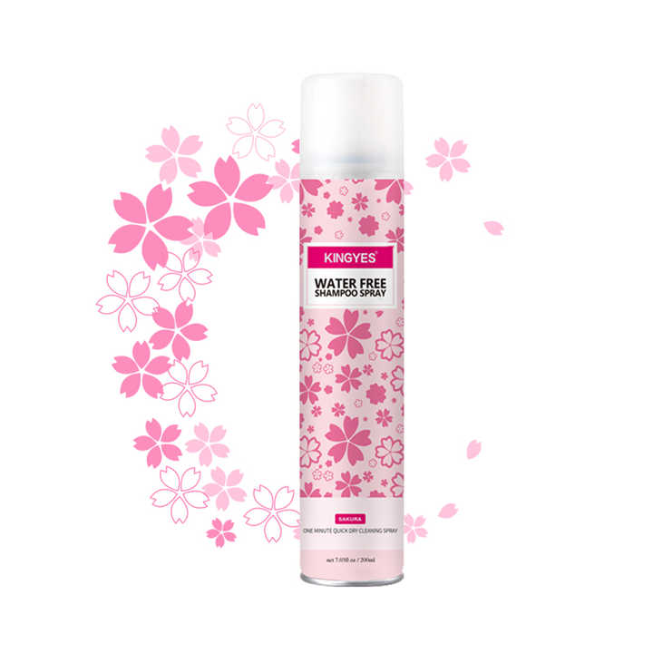 Wholesale Dry Shampoo Powder - Oil Control & Refreshing
