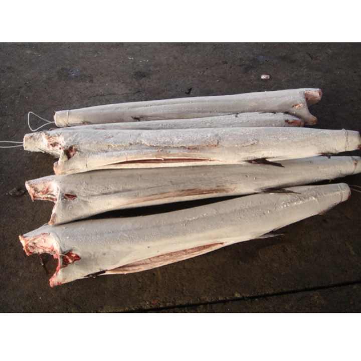 24 Months Shelf Life Frozen Body Sailfish DWT Rich in Vitamins ...