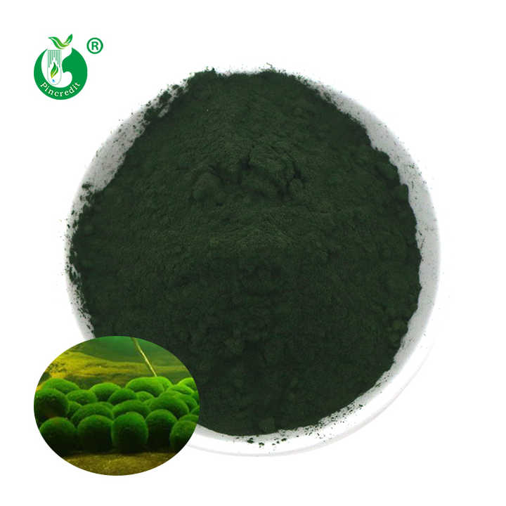 USDA Organic Certified Free Sample Green Superfood Organic Algae ...