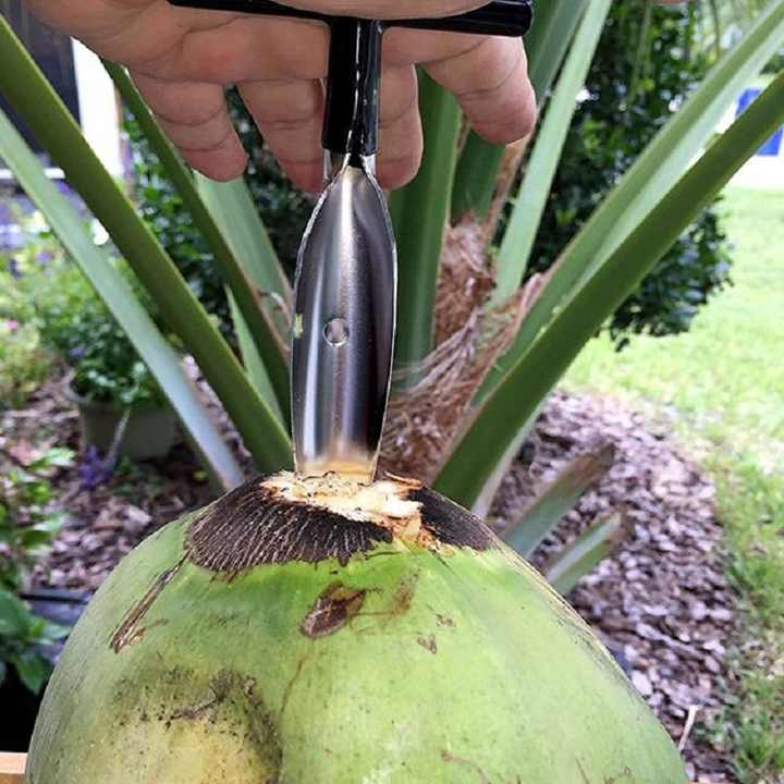 Stainless Steel Coconut Opener - Eco Friendly & Durable