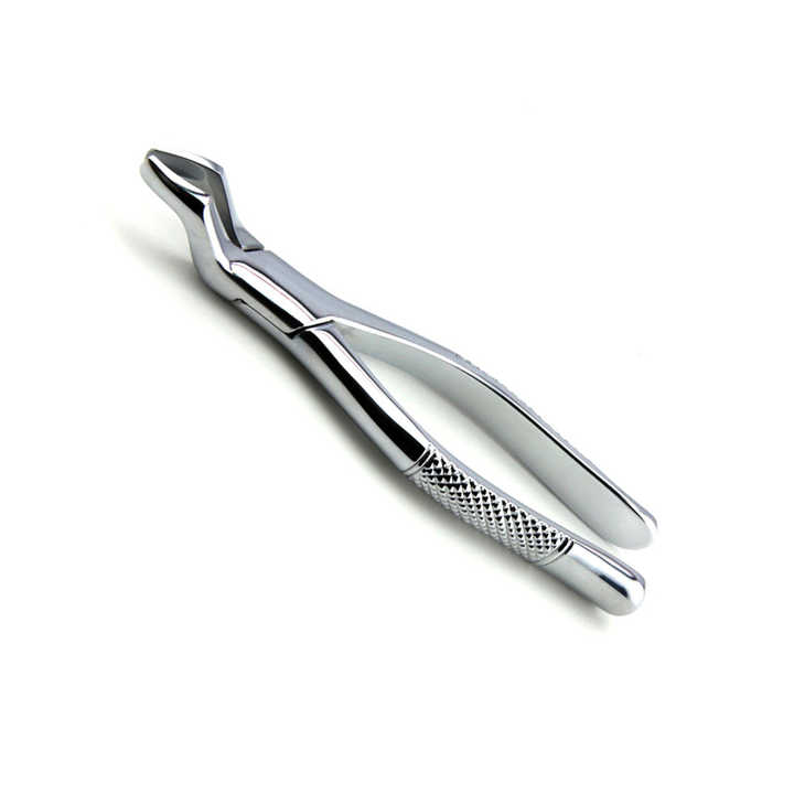 Bayonet for Upper Molars Extract Teeth Alveolar Bone Overview Resources ...
