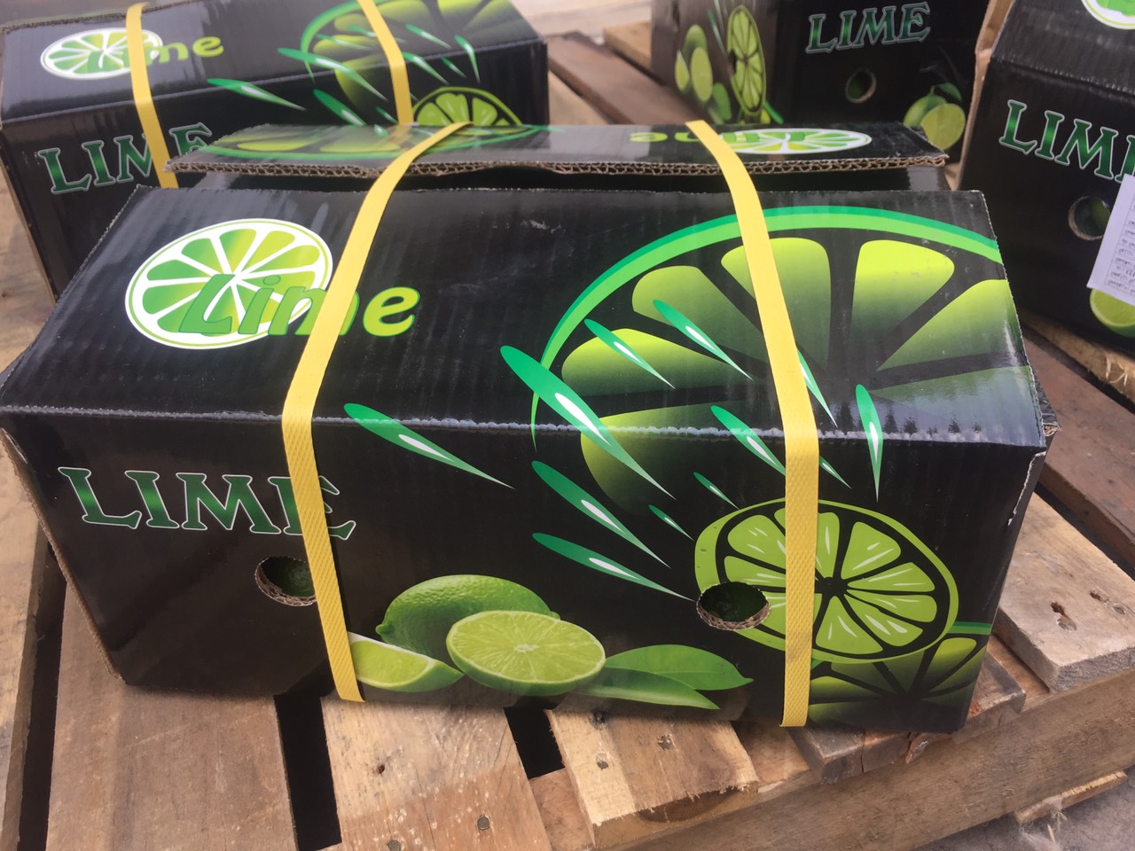 Vietnam seedless fresh lemon / fresh lime- High quality Citrus Fruit ...