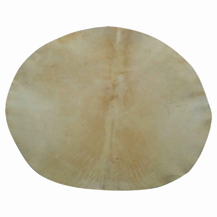 Professional 22\" Black Snare Marching Drum Head SD Goat Skin with ...
