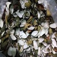 Versatile dried leeches for use in Various Products - Alibaba.com