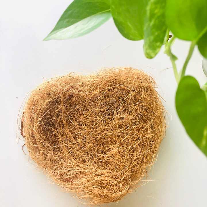 Coconut Coir/coconut Husk 100% Natural Fiber From Vietnam - Ms. Mira ...