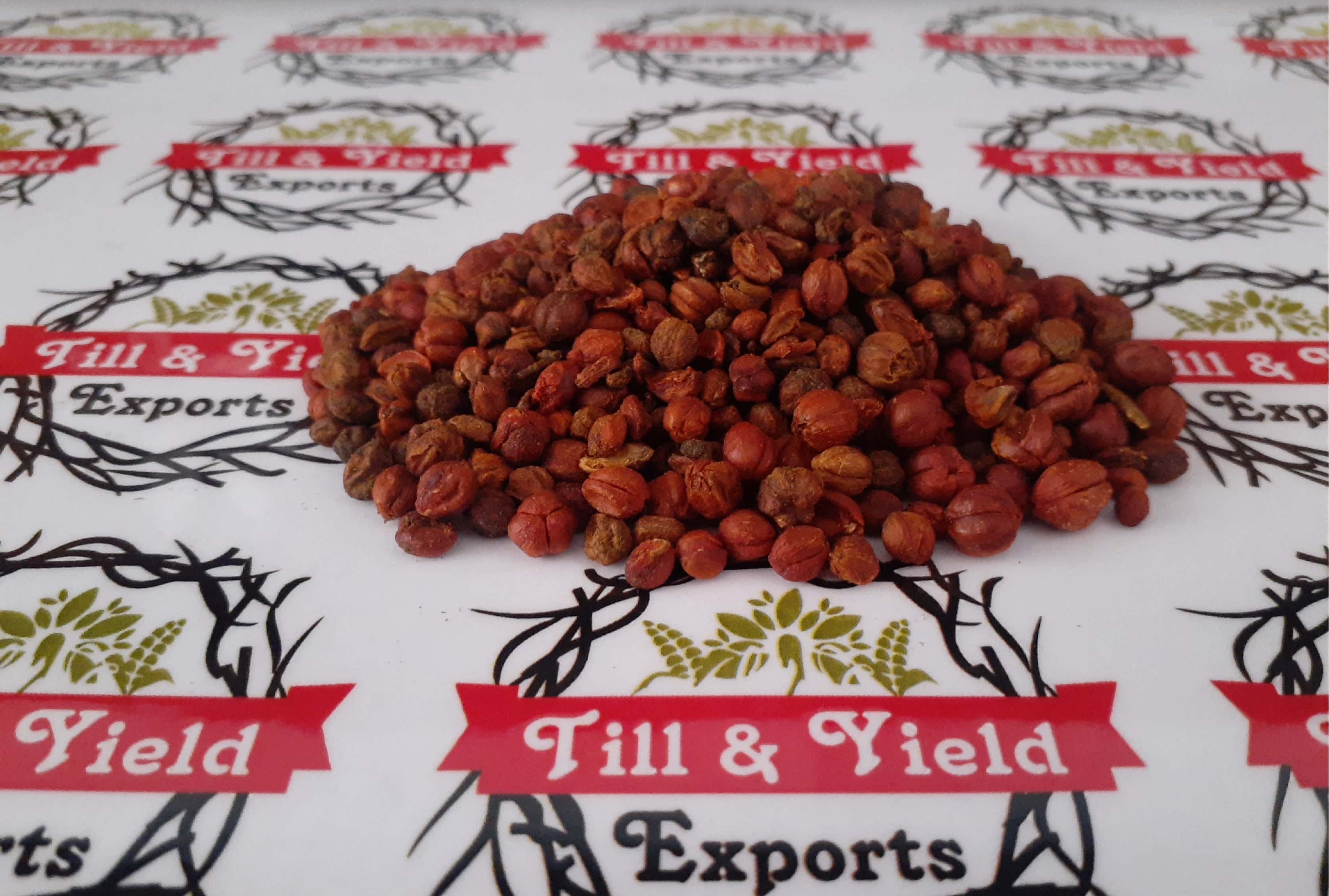 How to Choose Crocus Vernus Seeds: A Complete Buying Guide