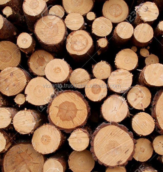 Russian Timber Log - Premium Sawlogs and Wood Round Logs