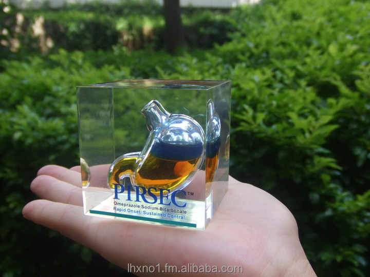 Acrylic paperweight with liquid stomach inside/ digestive system resin ...