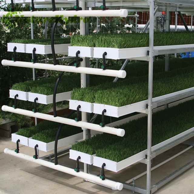 Automated Fodder System - Efficient Farm Hydroponics