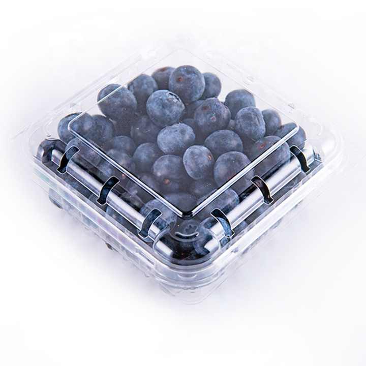 125G Disposable Plastic Clamshell for Blueberry Packaging