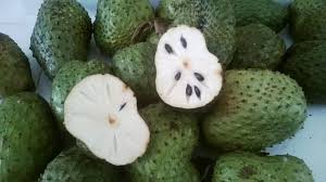 Verified Supplier Custard Apple Fruit Healthy & Natural | Alibaba.com
